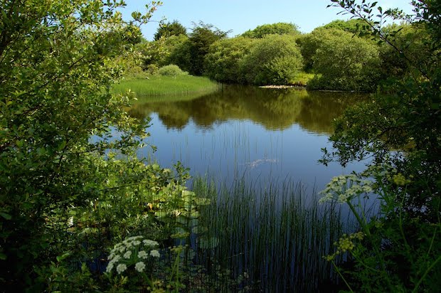 Ponds